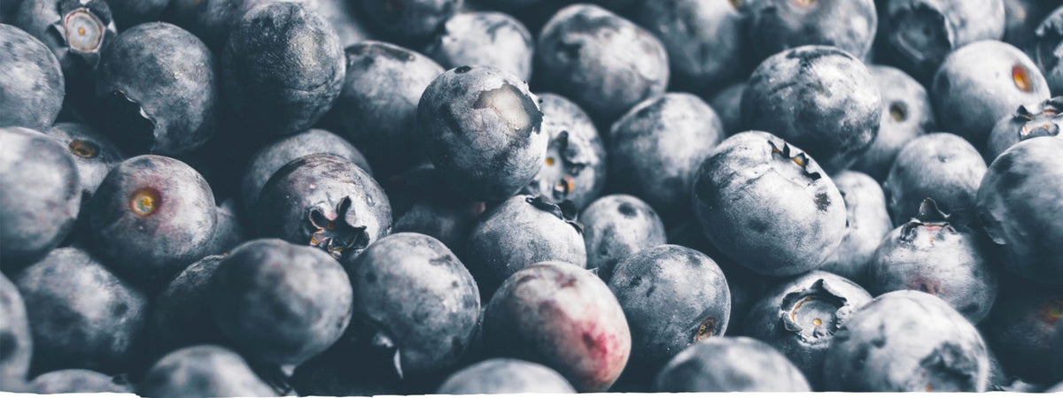 BILBERRY EXTRACT BENEFITS FOR YOUR SKIN – Natural Spa Factory Retail