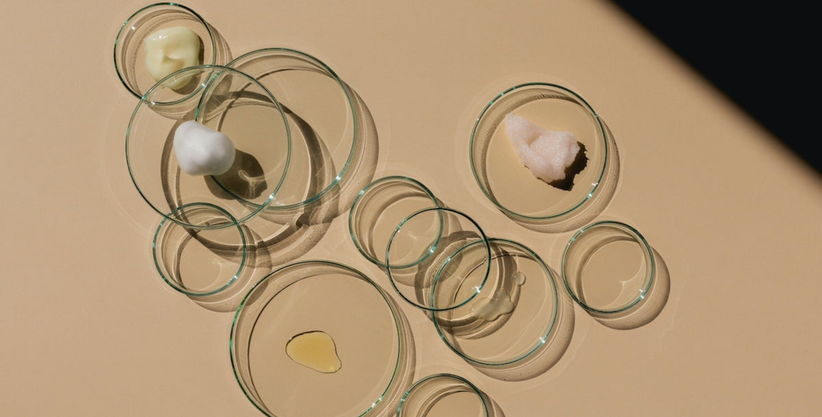 Decoding Natural Ingredients: What 'Free From' Really Means. – Natural ...